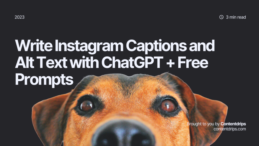 Write Instagram captions with ChatGPT + free prompts - Contentdrips