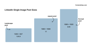 Crush It in 2024: Optimal LinkedIn Post Size - Contentdrips